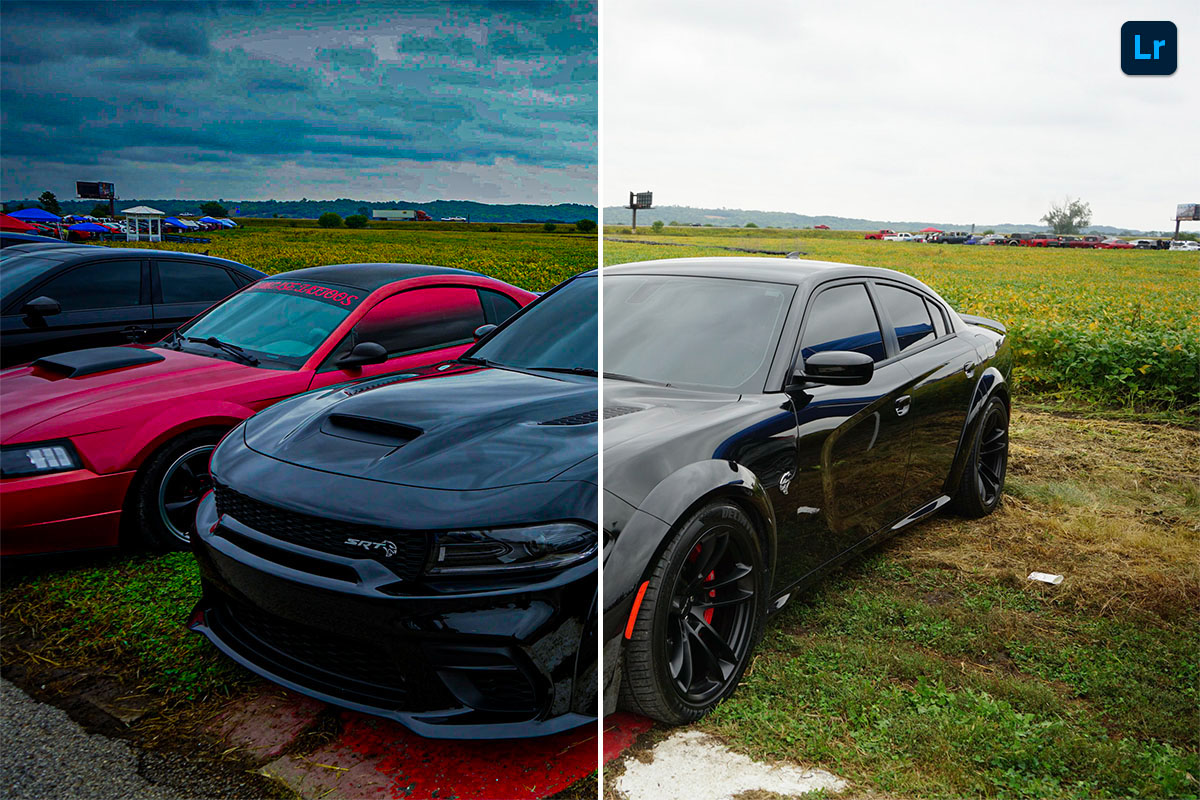 Hellcat in the Wild | Edit | Photoshop Lightroom