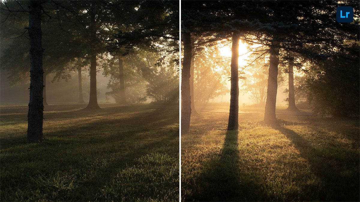 Morning Rays | Edit | Photoshop Lightroom
