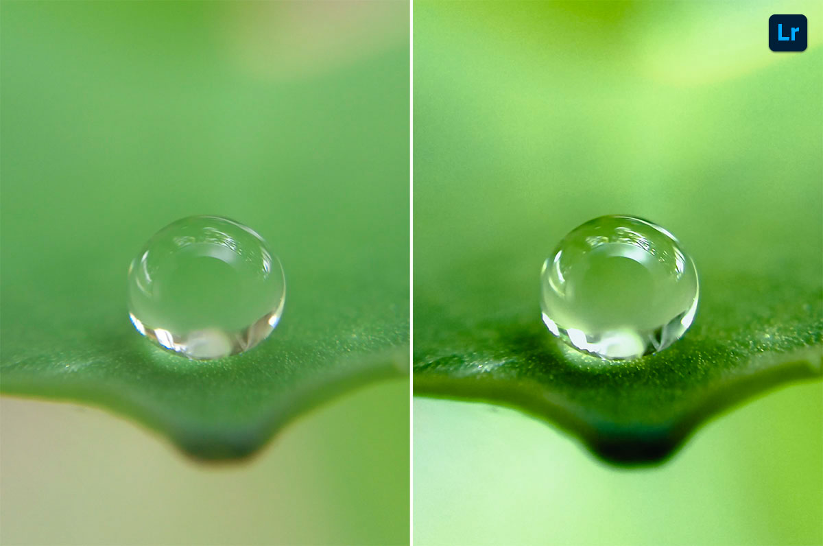 Water Droplet | Edit | Photoshop Lightroom