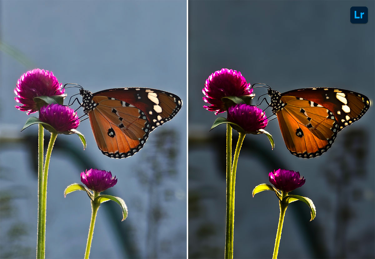 Backlight | Edit | Photoshop Lightroom