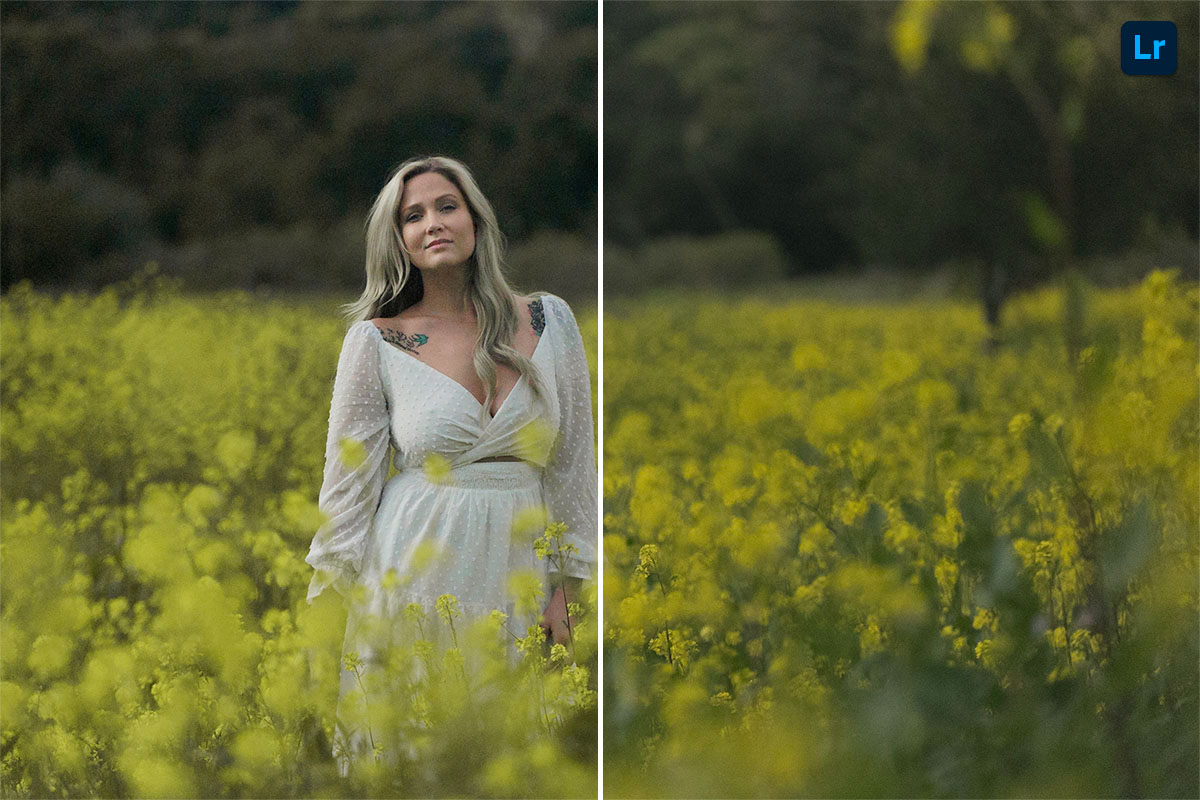 Meadow | Remix | Photoshop Lightroom