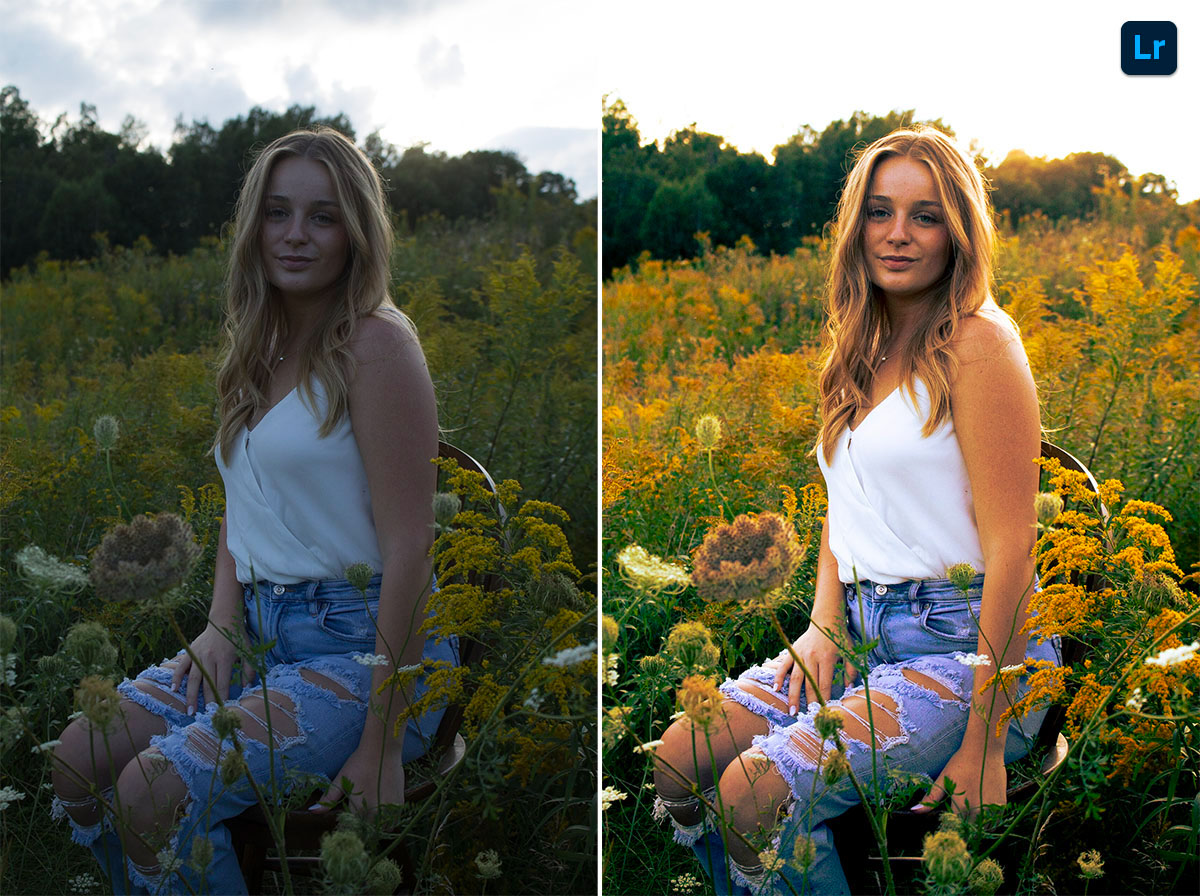 Golden Field Portrait | Remix | Photoshop Lightroom