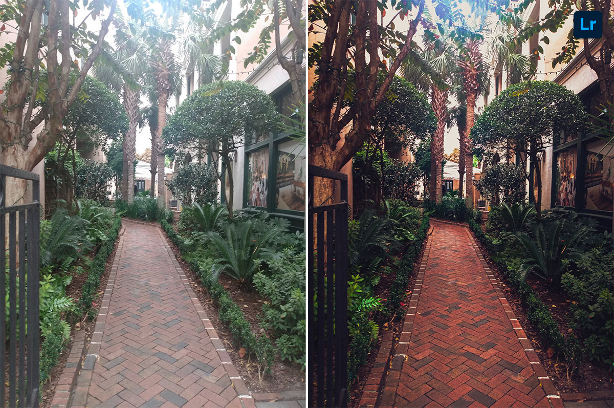 The back walkway | Edit | Photoshop Lightroom