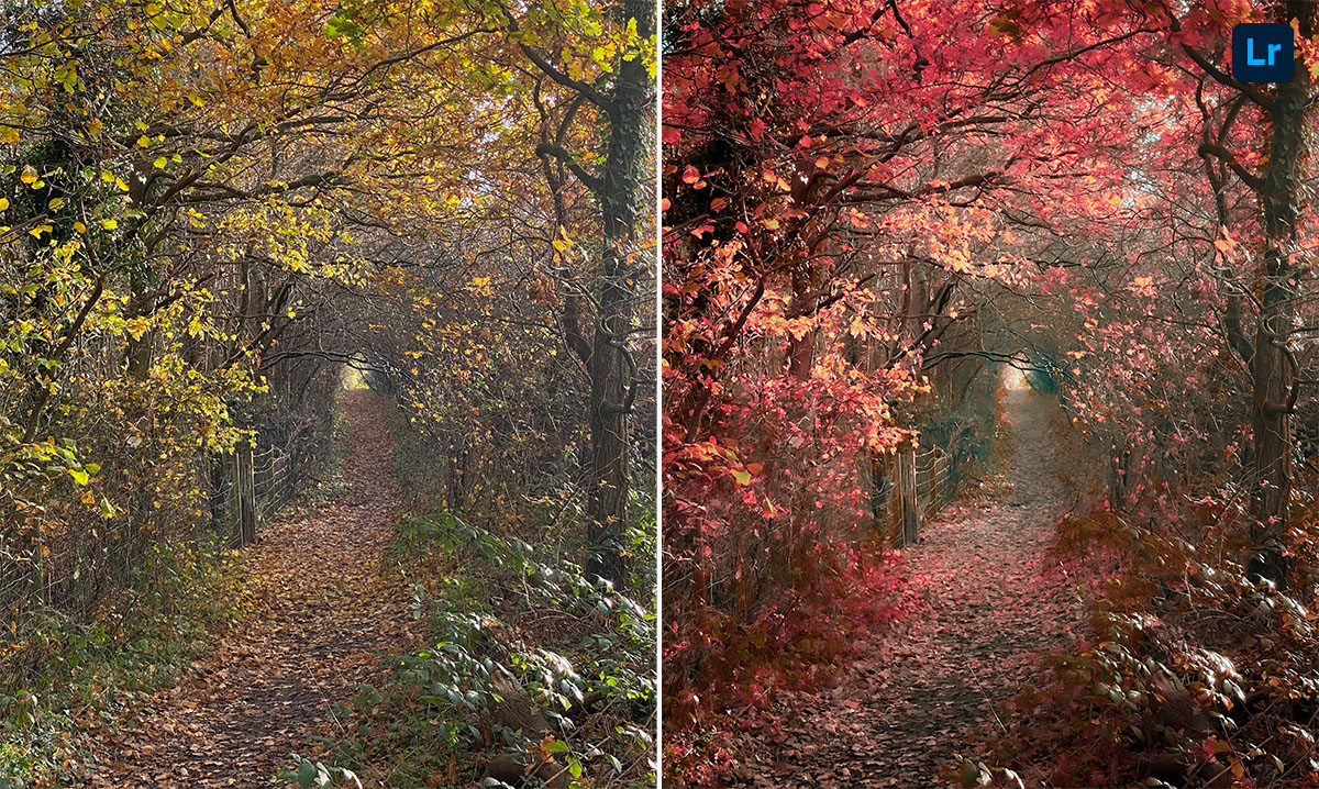 This path | Edit | Photoshop Lightroom