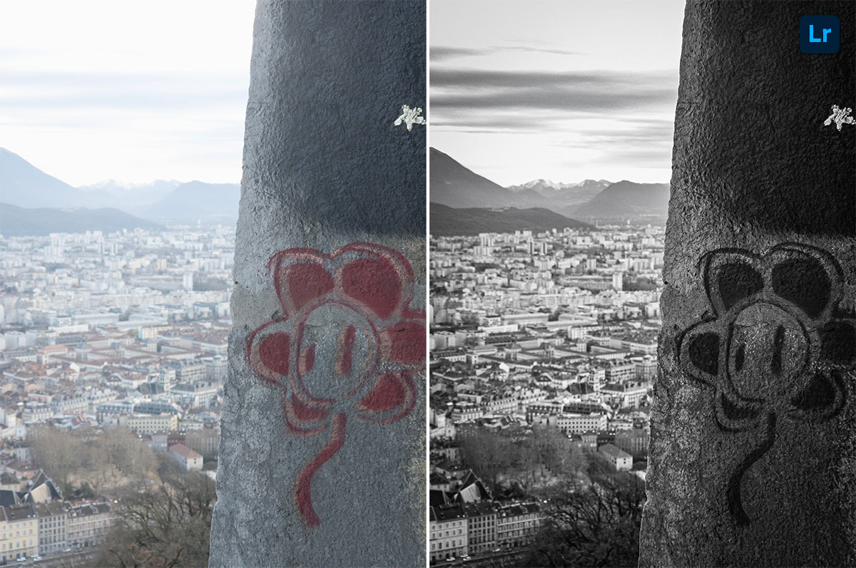 sad flower | Edit | Photoshop Lightroom