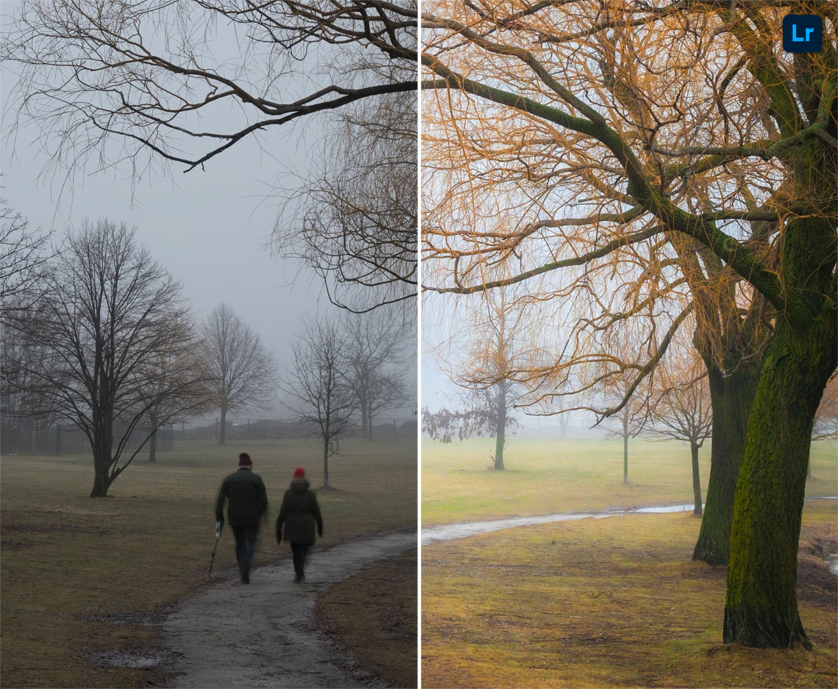 Morning Walk | Edit | Photoshop Lightroom