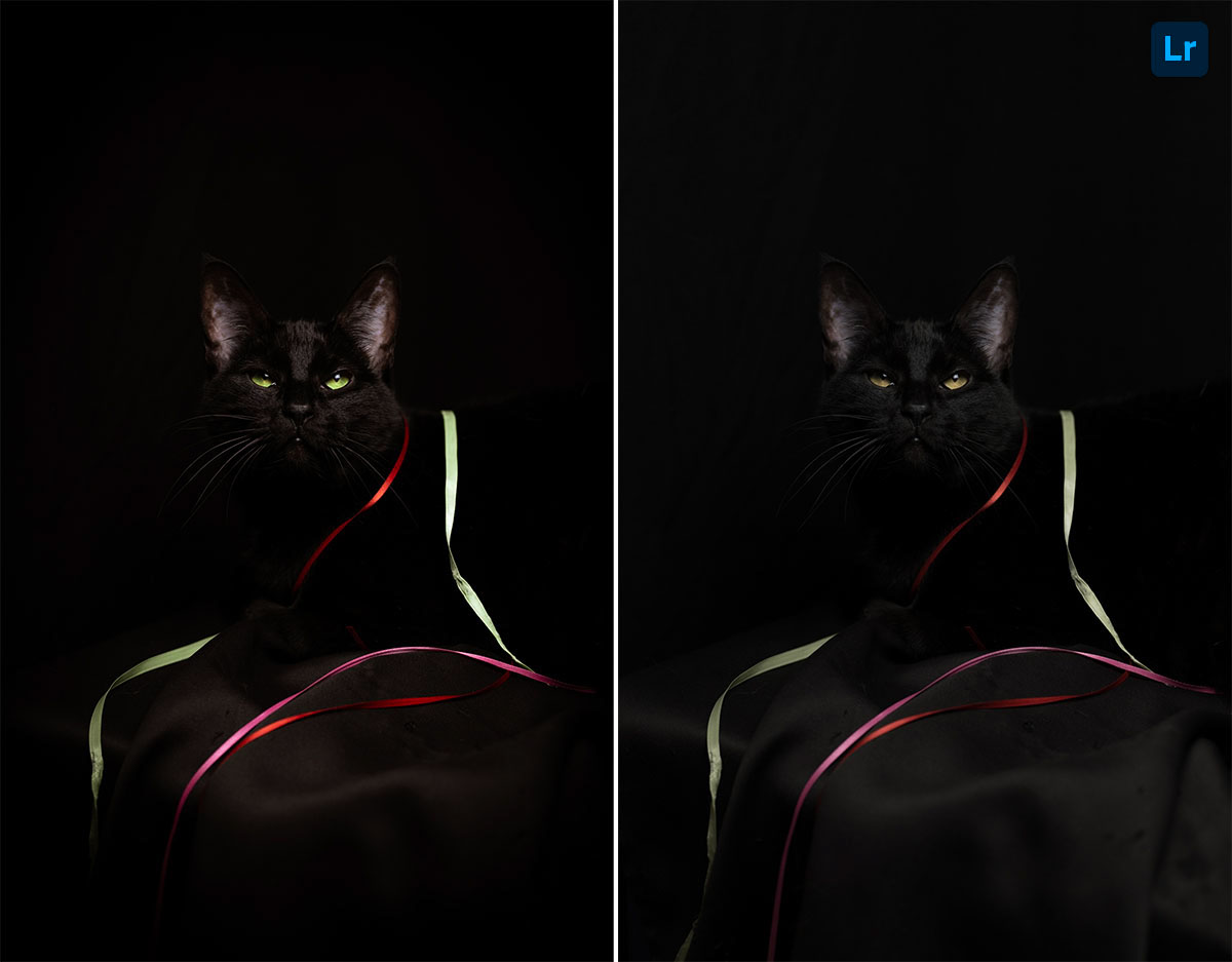 Buddy's Portraits | Edit | Photoshop Lightroom