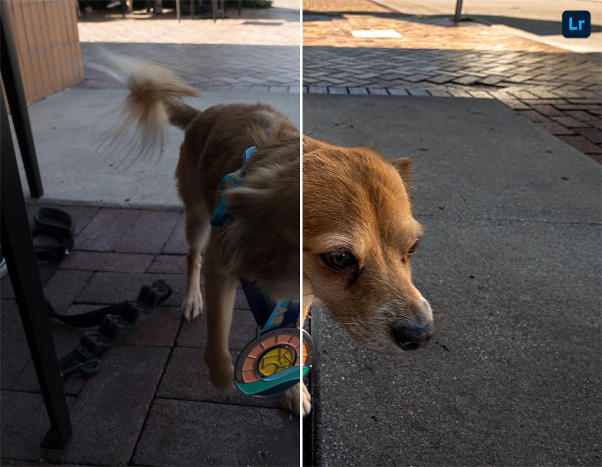 The winner | Edit | Photoshop Lightroom