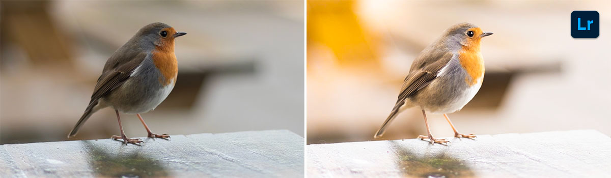 ROB | Remix | Photoshop Lightroom