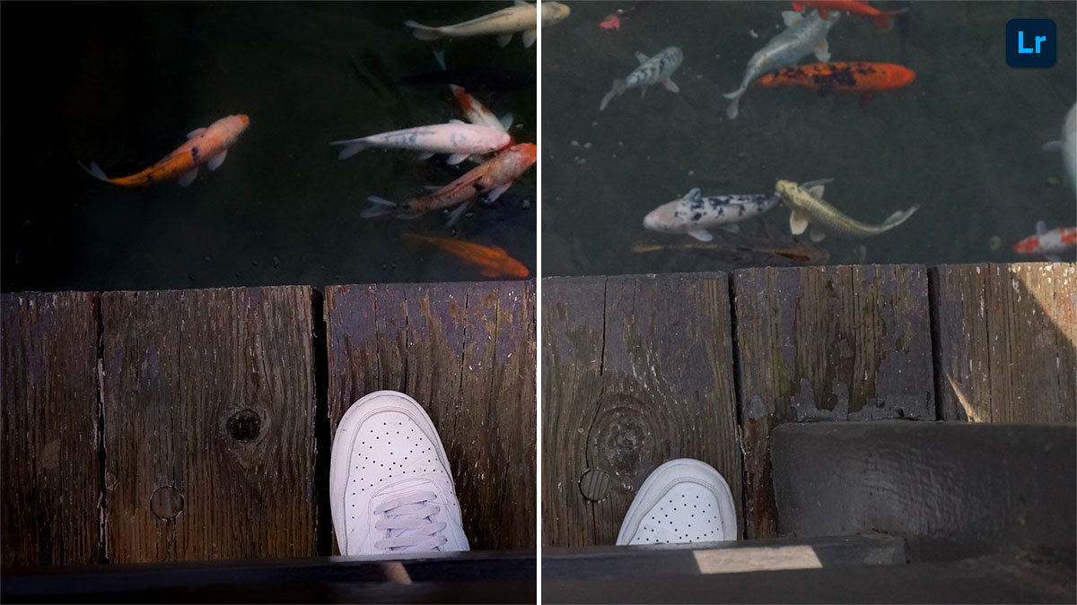 Shoe shot | Edit | Photoshop Lightroom