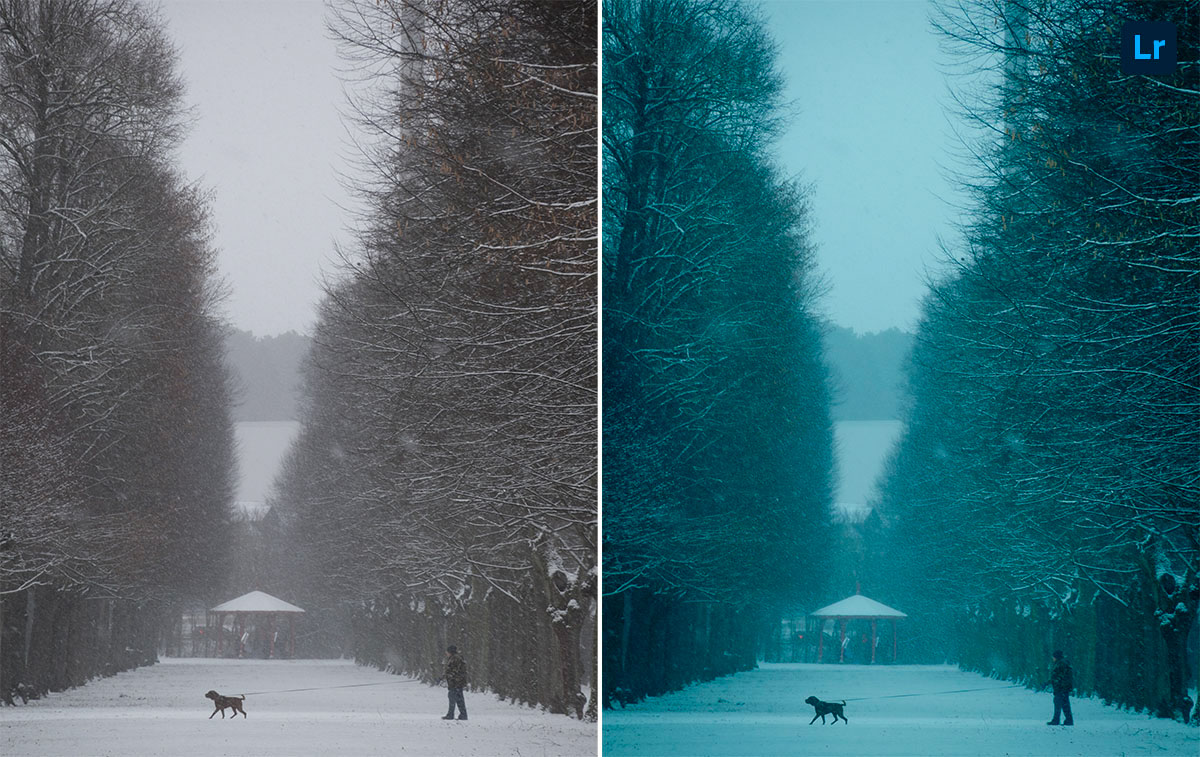 A walk In The Park | Edit | Photoshop Lightroom