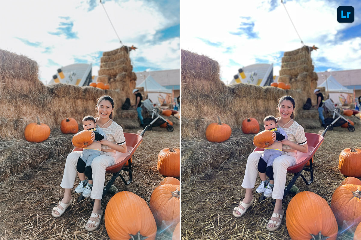 Pumpkin | Edit | Photoshop Lightroom