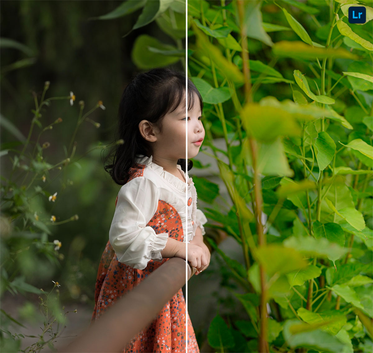 My baby | Edit | Photoshop Lightroom