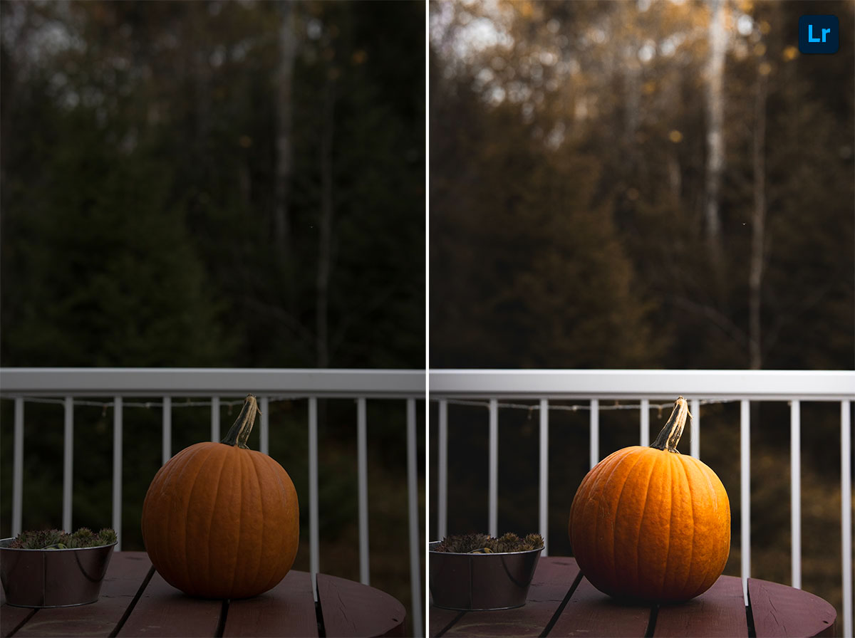 Spooky season colours | Edit | Photoshop Lightroom