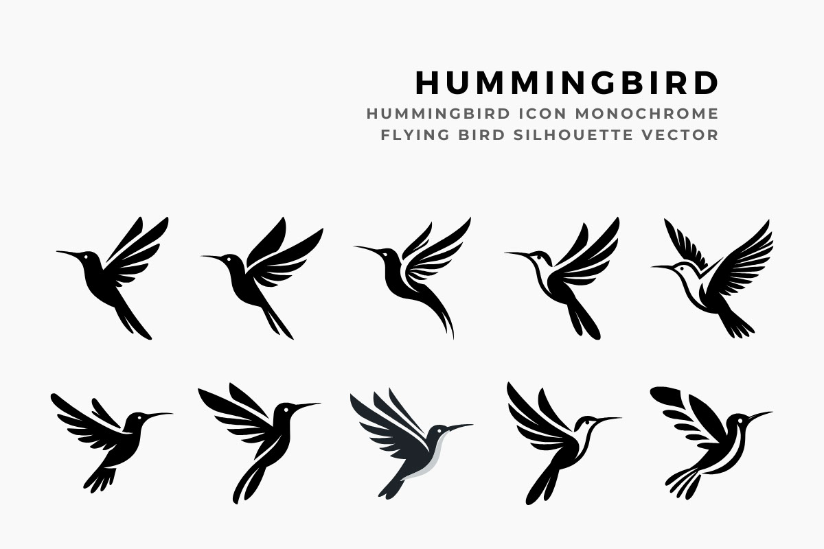 Hummingbird Icon Vector on Behance :: Behance