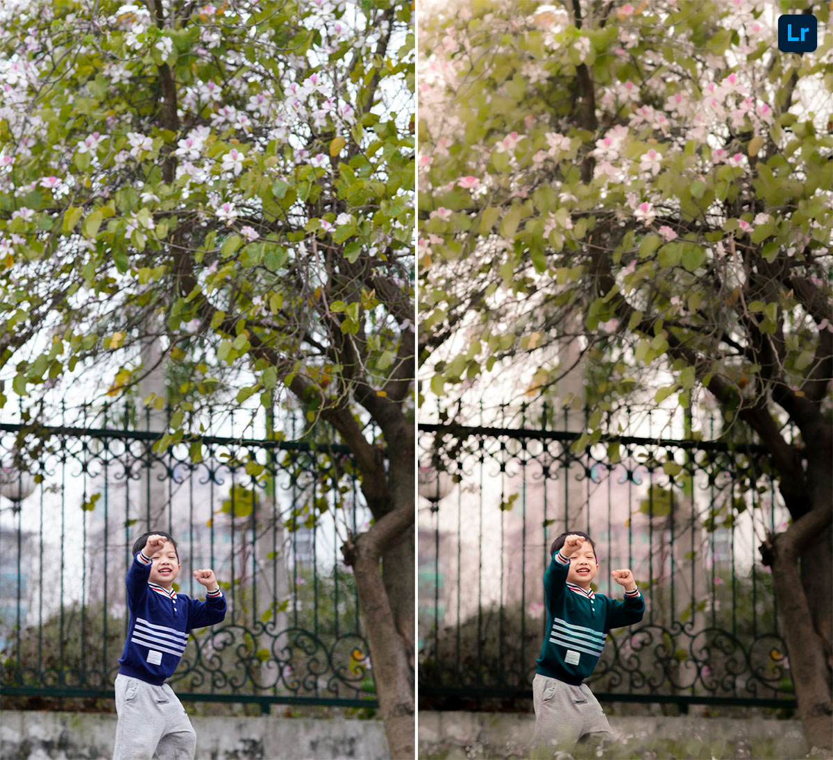 Kid | Edit | Photoshop Lightroom