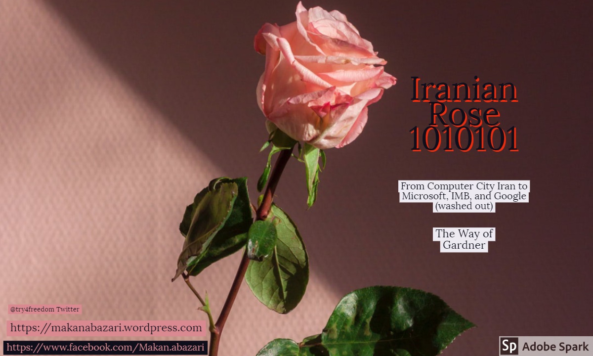 Iranian Roses 1010101 – World Order
