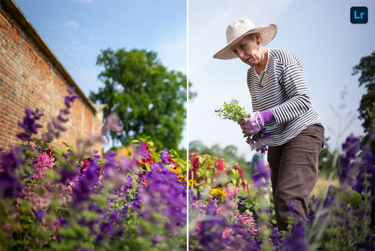 Flower picker | Remix | Photoshop Lightroom