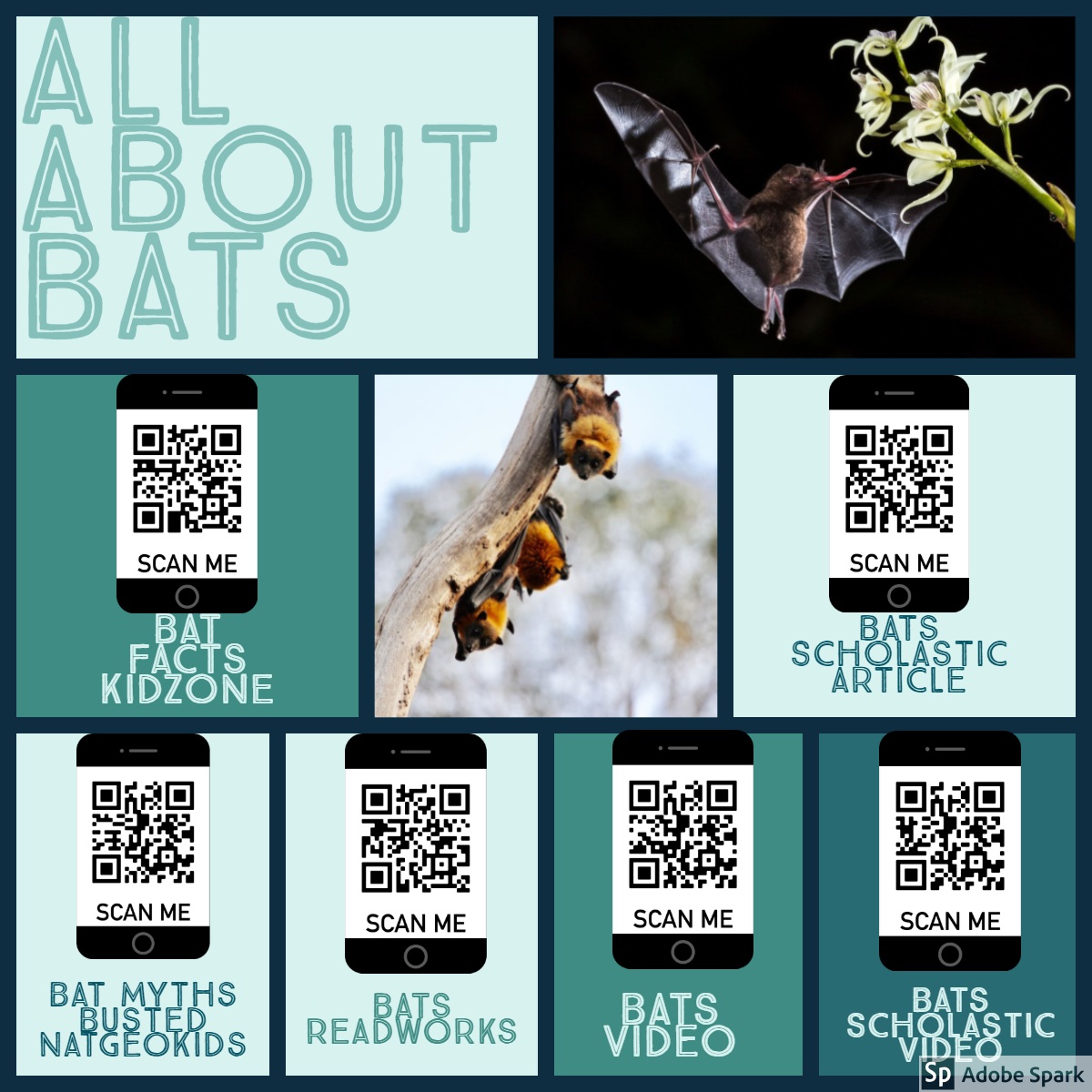 Moore to Explore in 3rd Grade