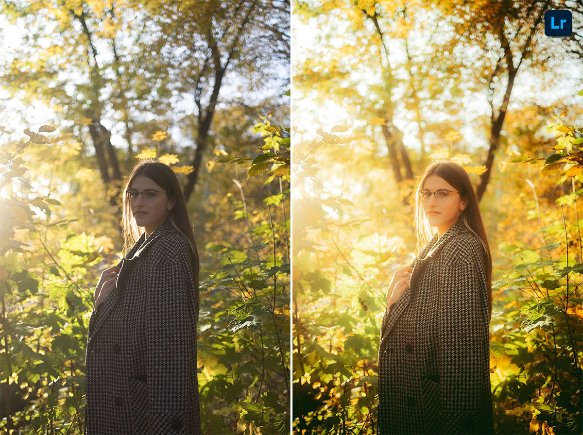 gentle shades | Edit | Photoshop Lightroom