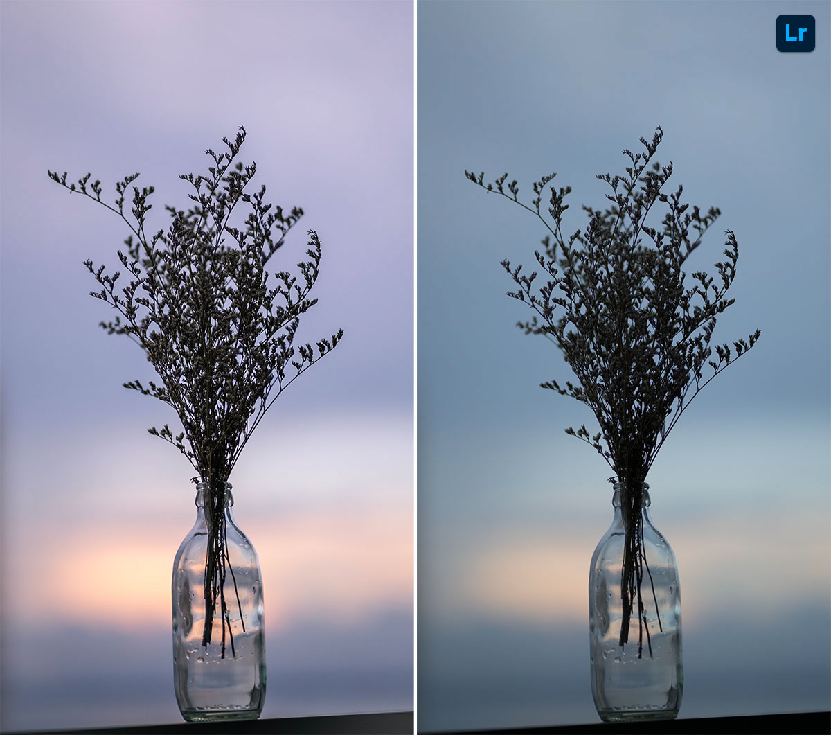 Flowers vase | Edit | Photoshop Lightroom