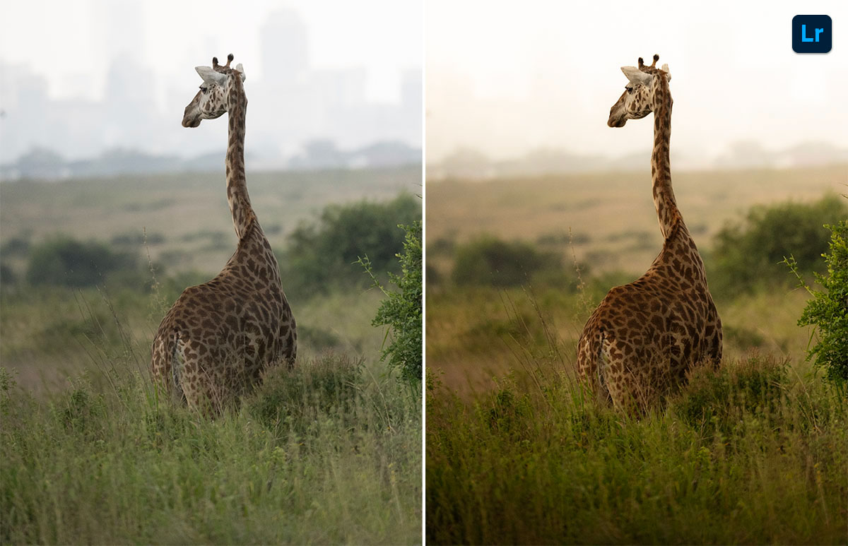 city view | Remix | Photoshop Lightroom