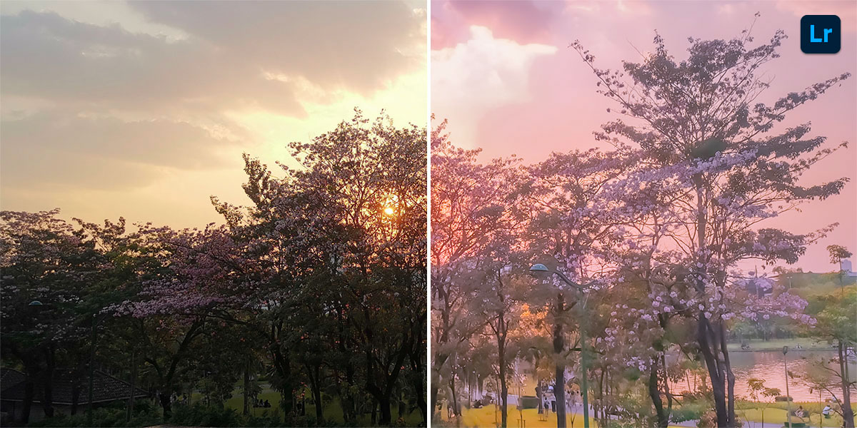 Sunset 🌞 | Edit | Photoshop Lightroom