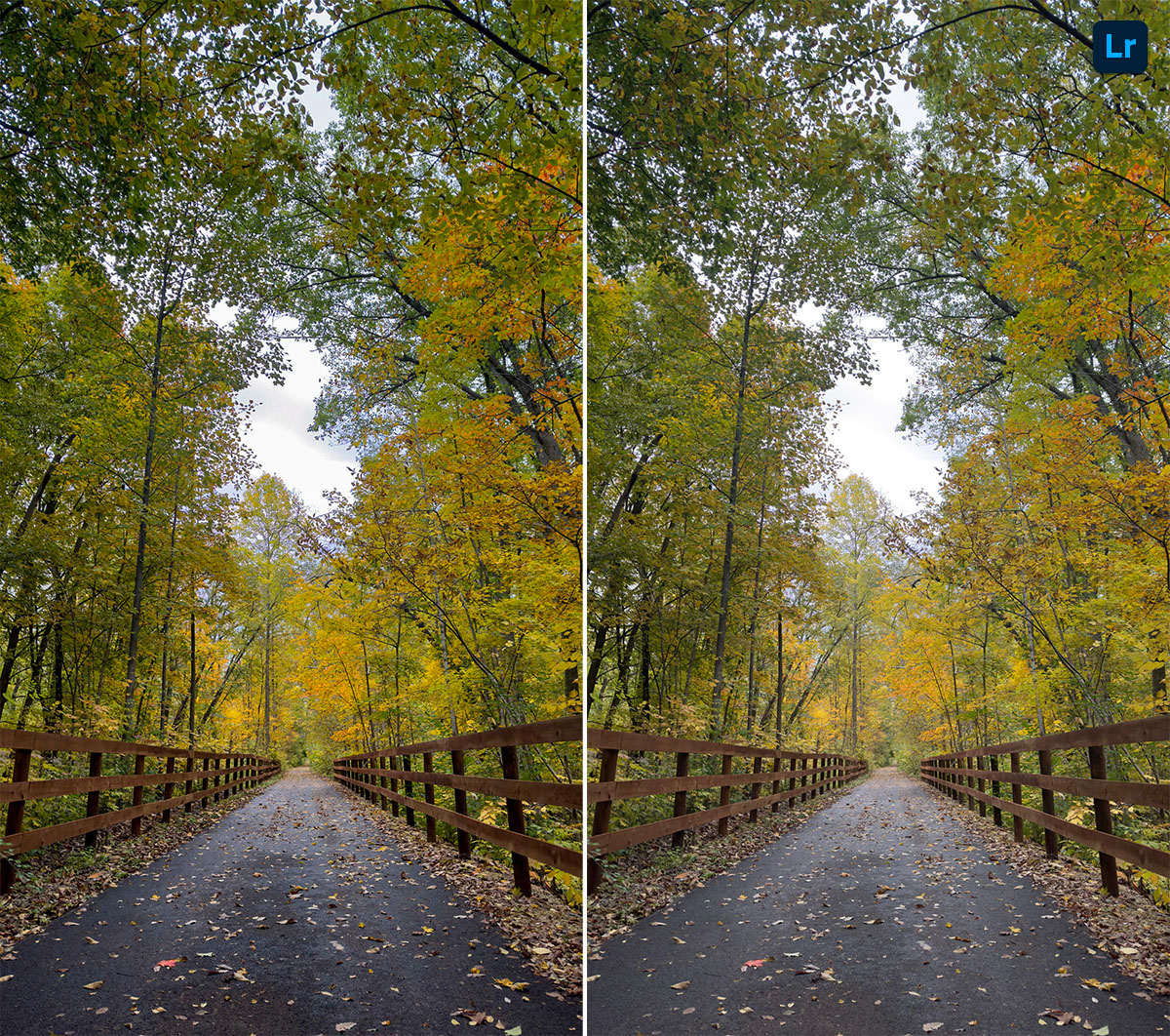 autumn | Remix | Photoshop Lightroom