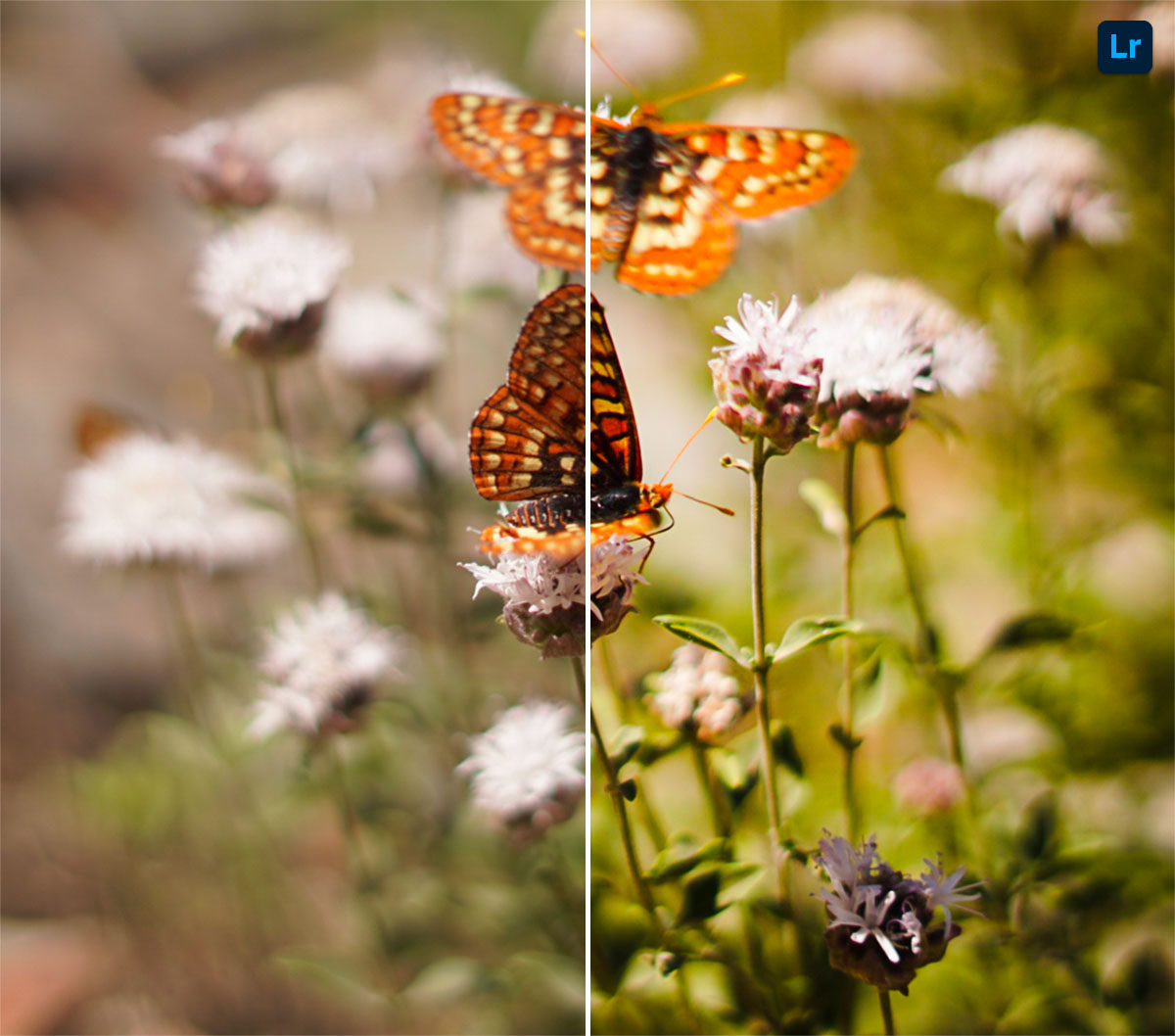 Floating | Edit | Photoshop Lightroom