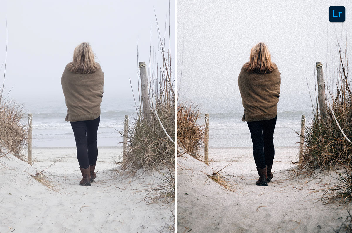 Foggy Walk | Edit | Photoshop Lightroom