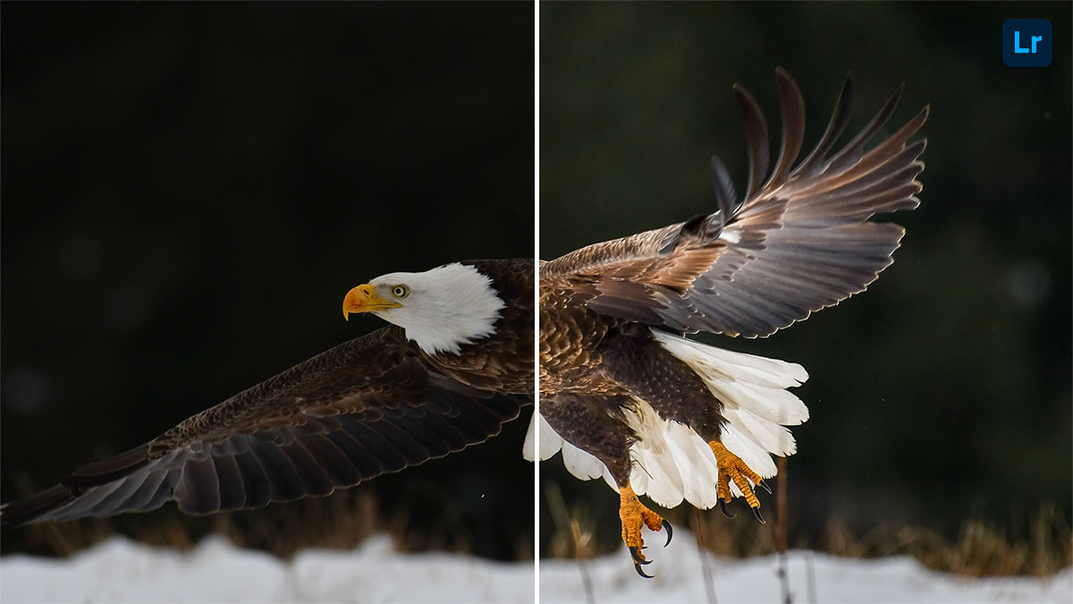 Take Off | Edit | Photoshop Lightroom