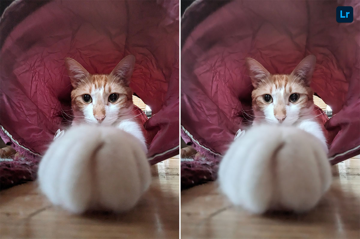 Murder mitten | Edit | Photoshop Lightroom
