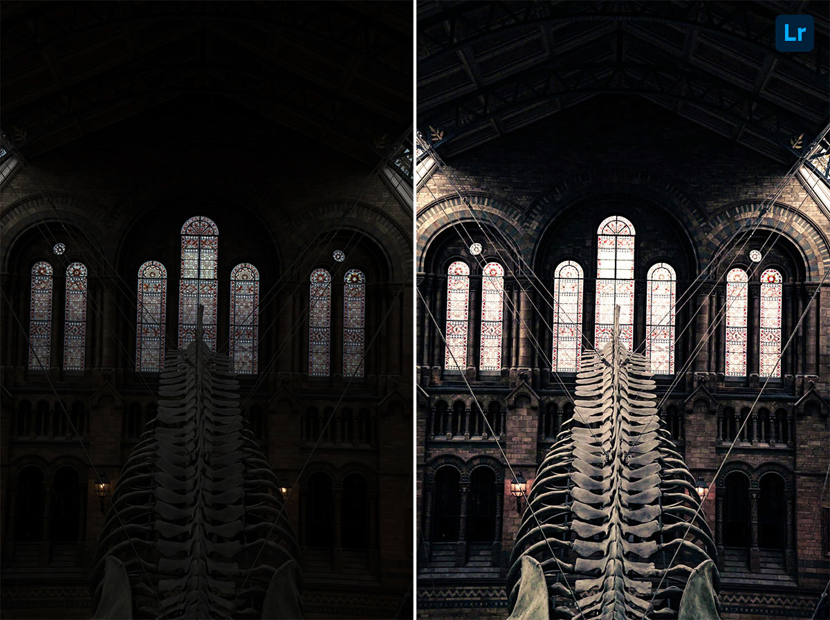 Bone Daddy | Remix | Photoshop Lightroom