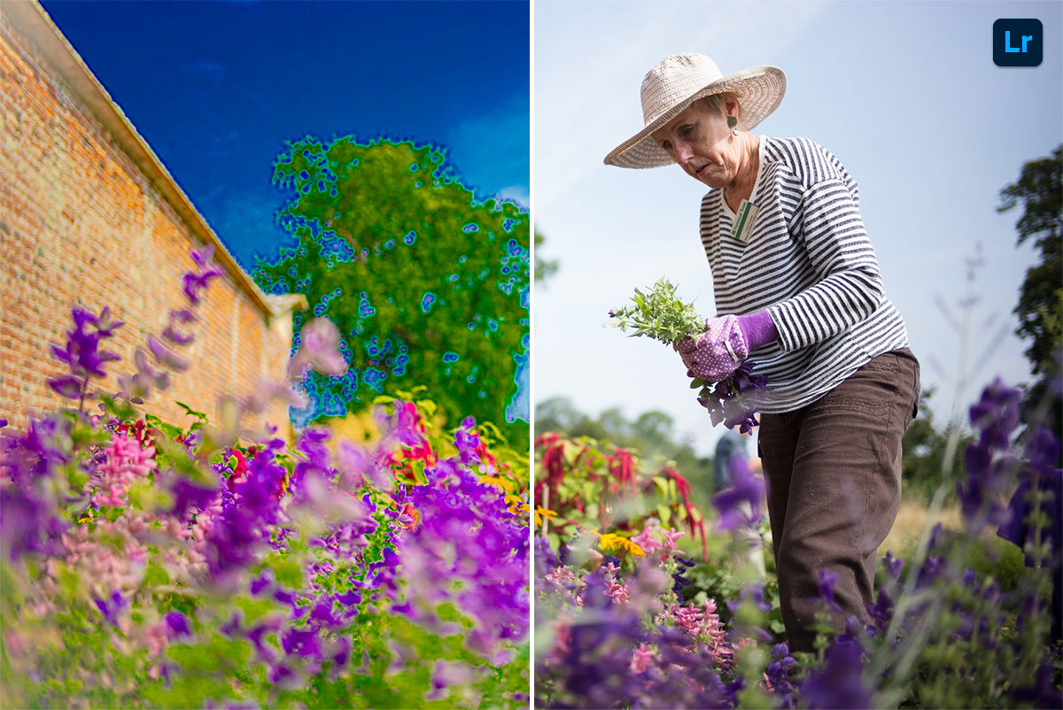 Flower picker | Remix | Photoshop Lightroom