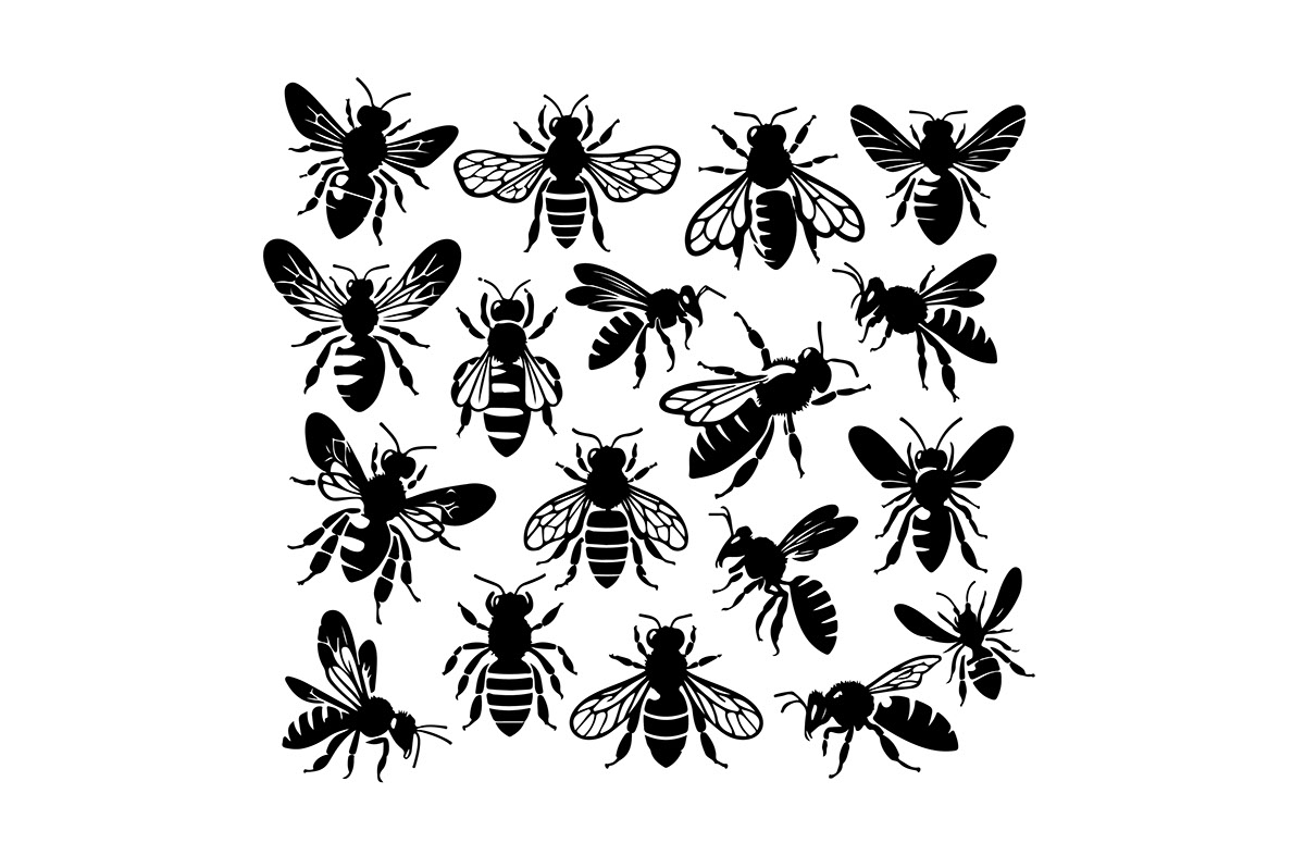 Bee Vector Art - Detailed Black and White Design on Behance :: Behance