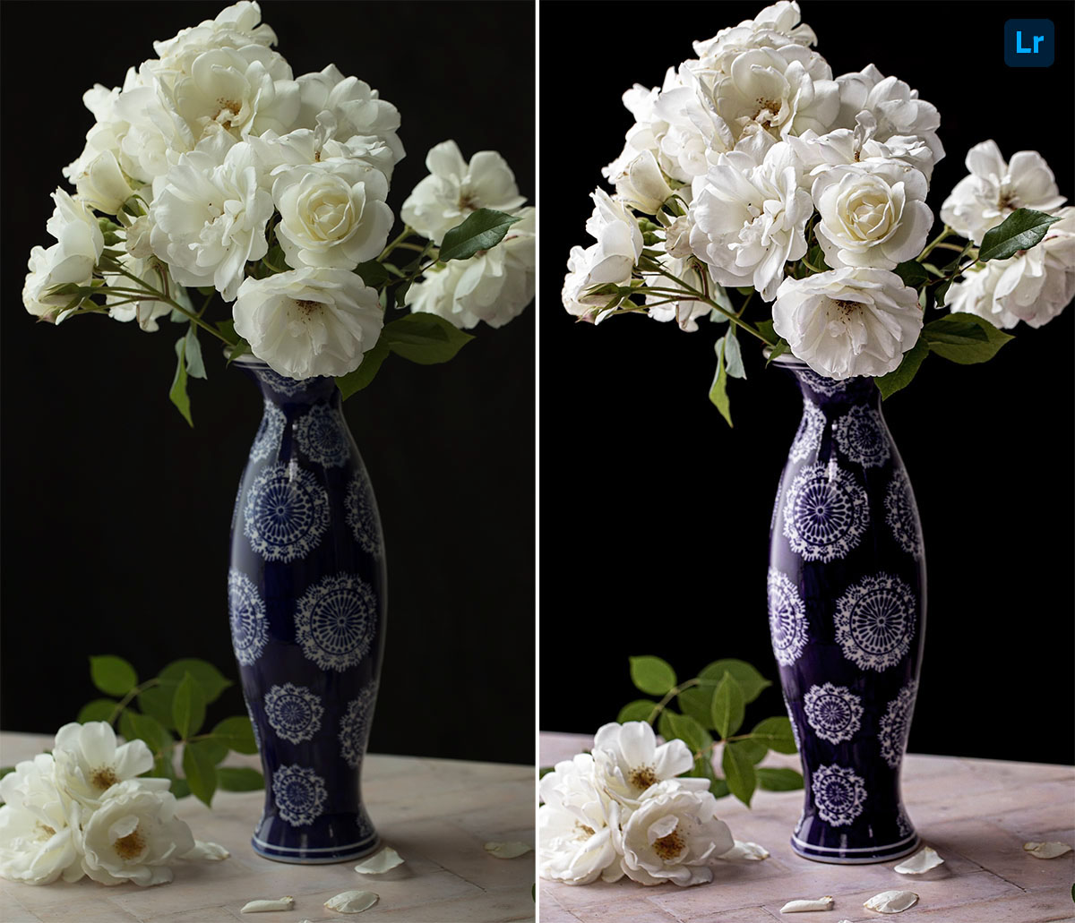 White Rose in a Vase | Edit | Photoshop Lightroom