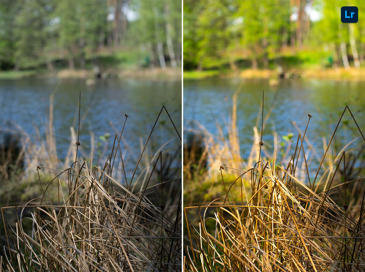 Lake | Remix | Photoshop Lightroom