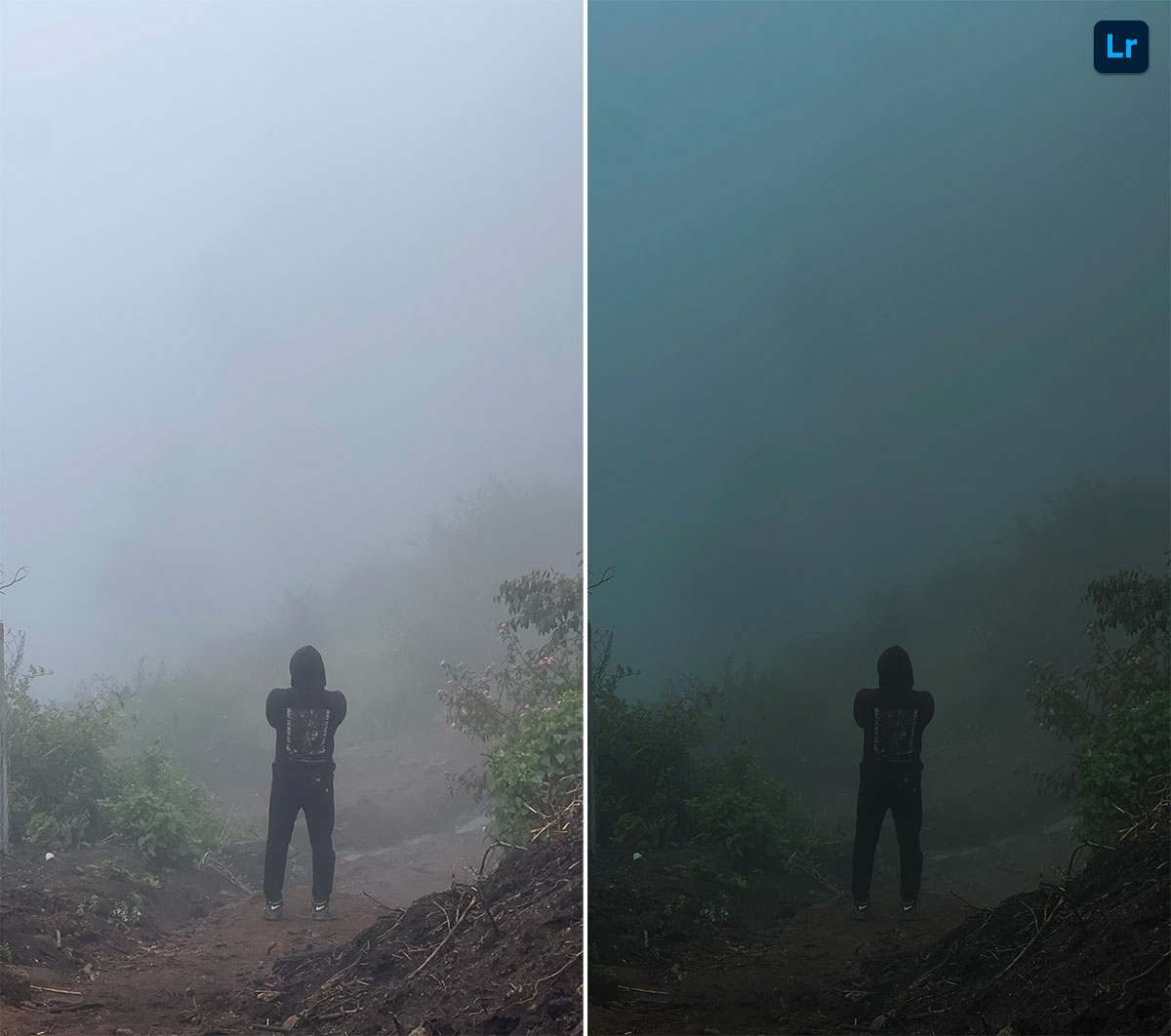 Misty magic | Remix | Photoshop Lightroom