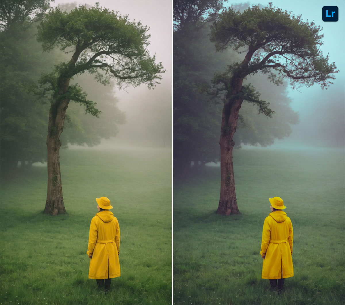 Dream view | Remix | Photoshop Lightroom