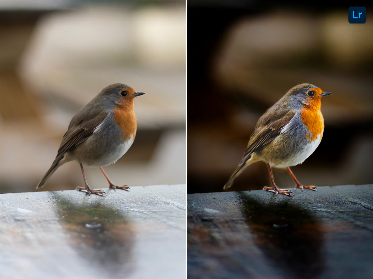 ROB | Remix | Photoshop Lightroom