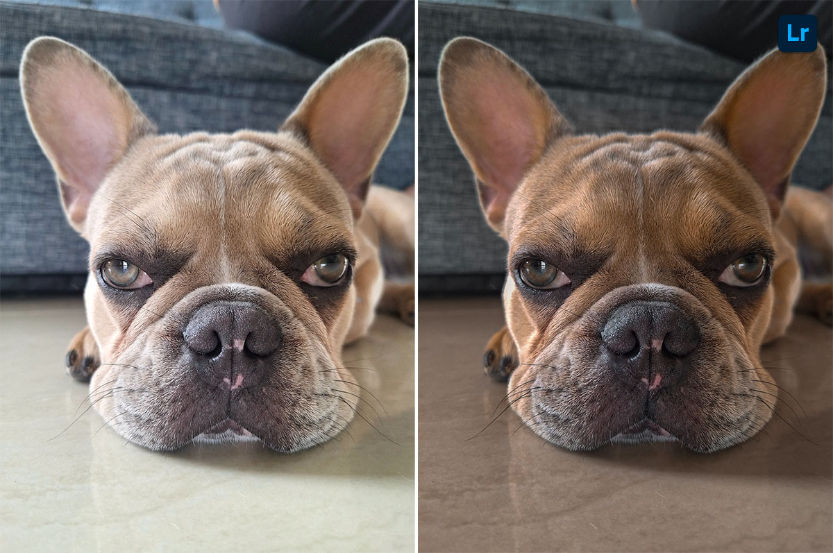 Tonny | Remix | Photoshop Lightroom