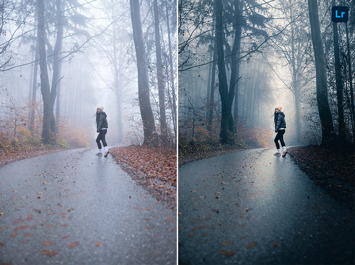 Winter walk | Edit | Photoshop Lightroom