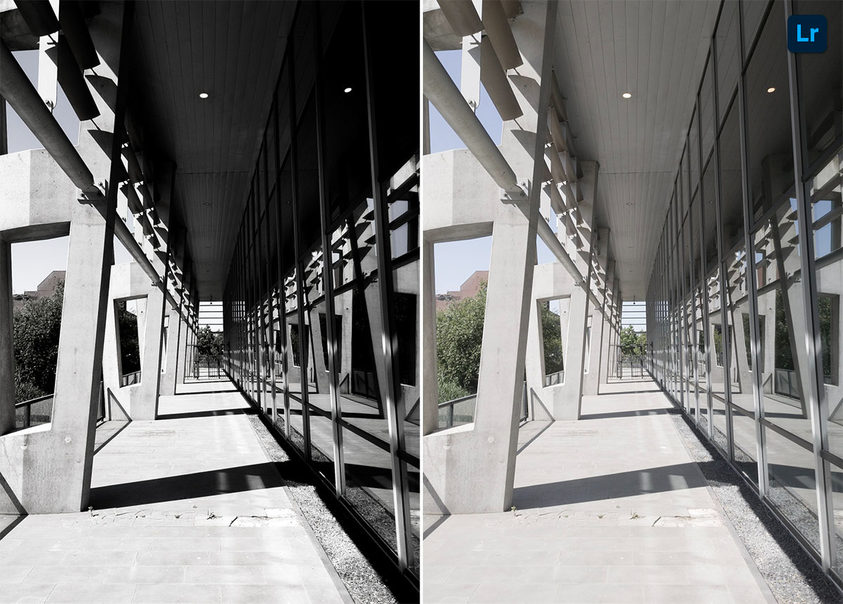 Half and half | Edit | Photoshop Lightroom