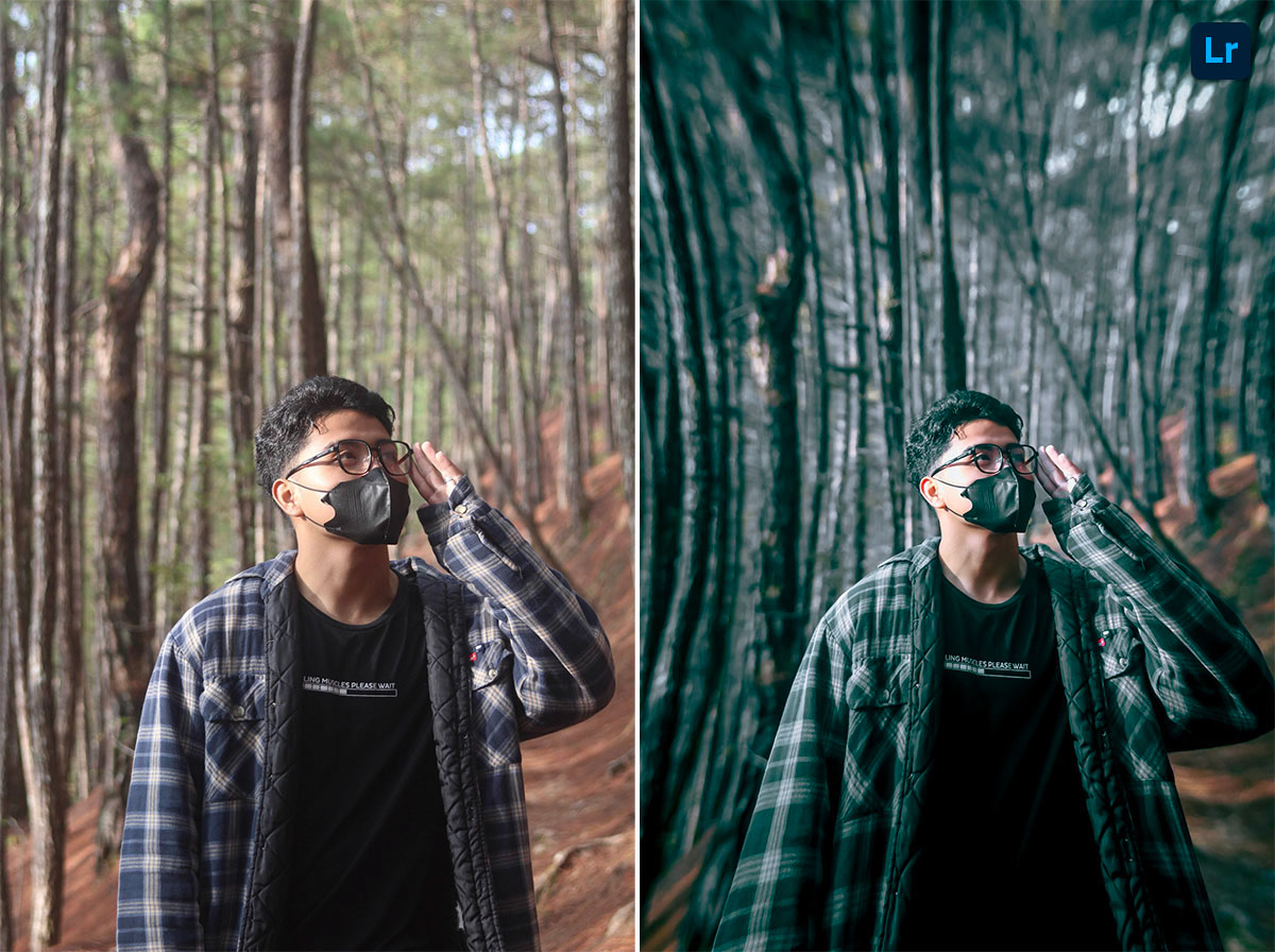 woods | Remix | Photoshop Lightroom
