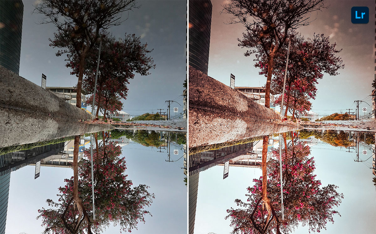 Mirror | Edit | Photoshop Lightroom