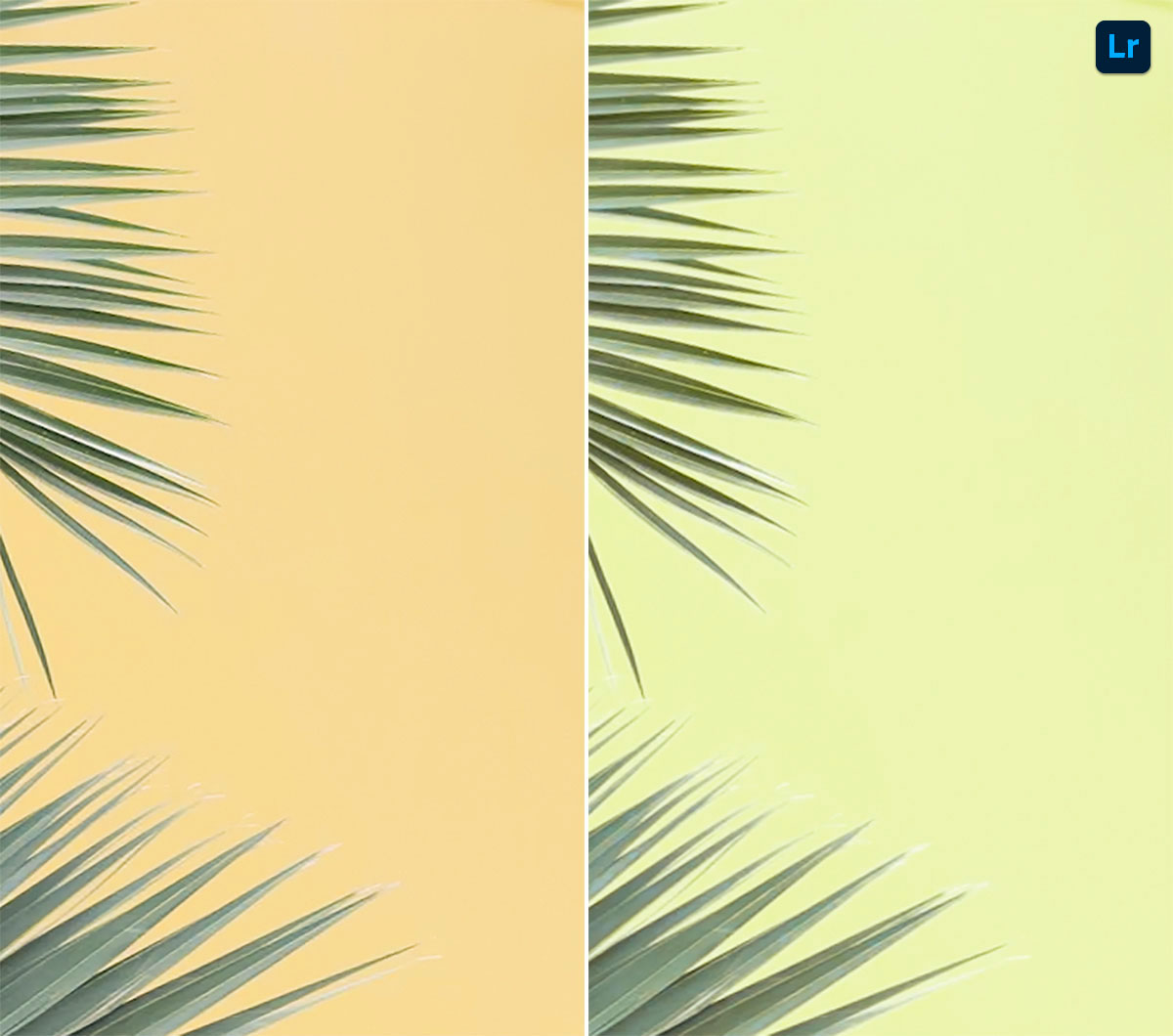 Colors | Remix | Photoshop Lightroom