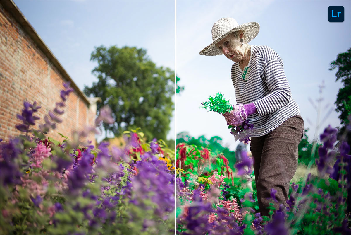 Flower picker | Remix | Photoshop Lightroom