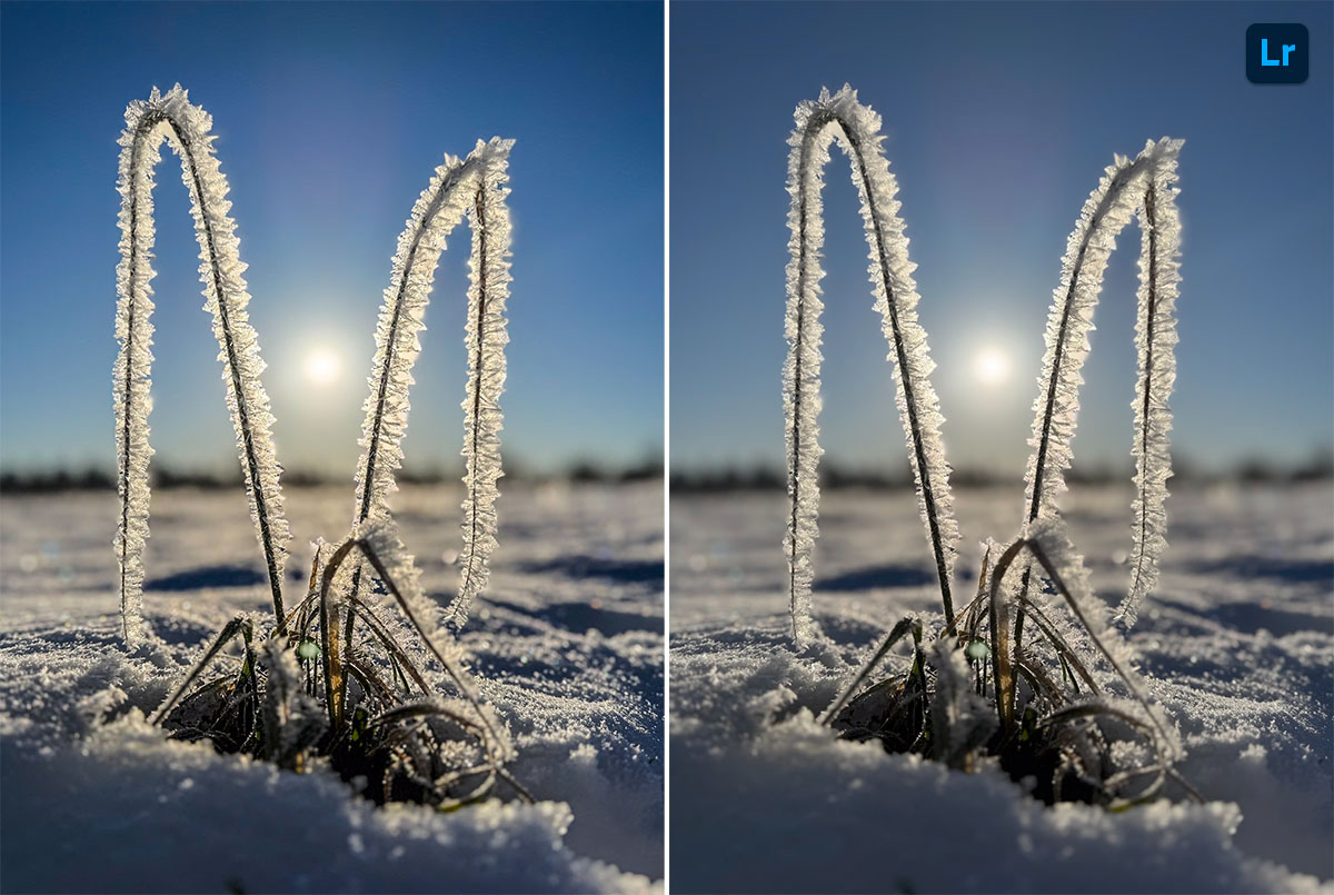 Frozen Blades | Edit | Photoshop Lightroom