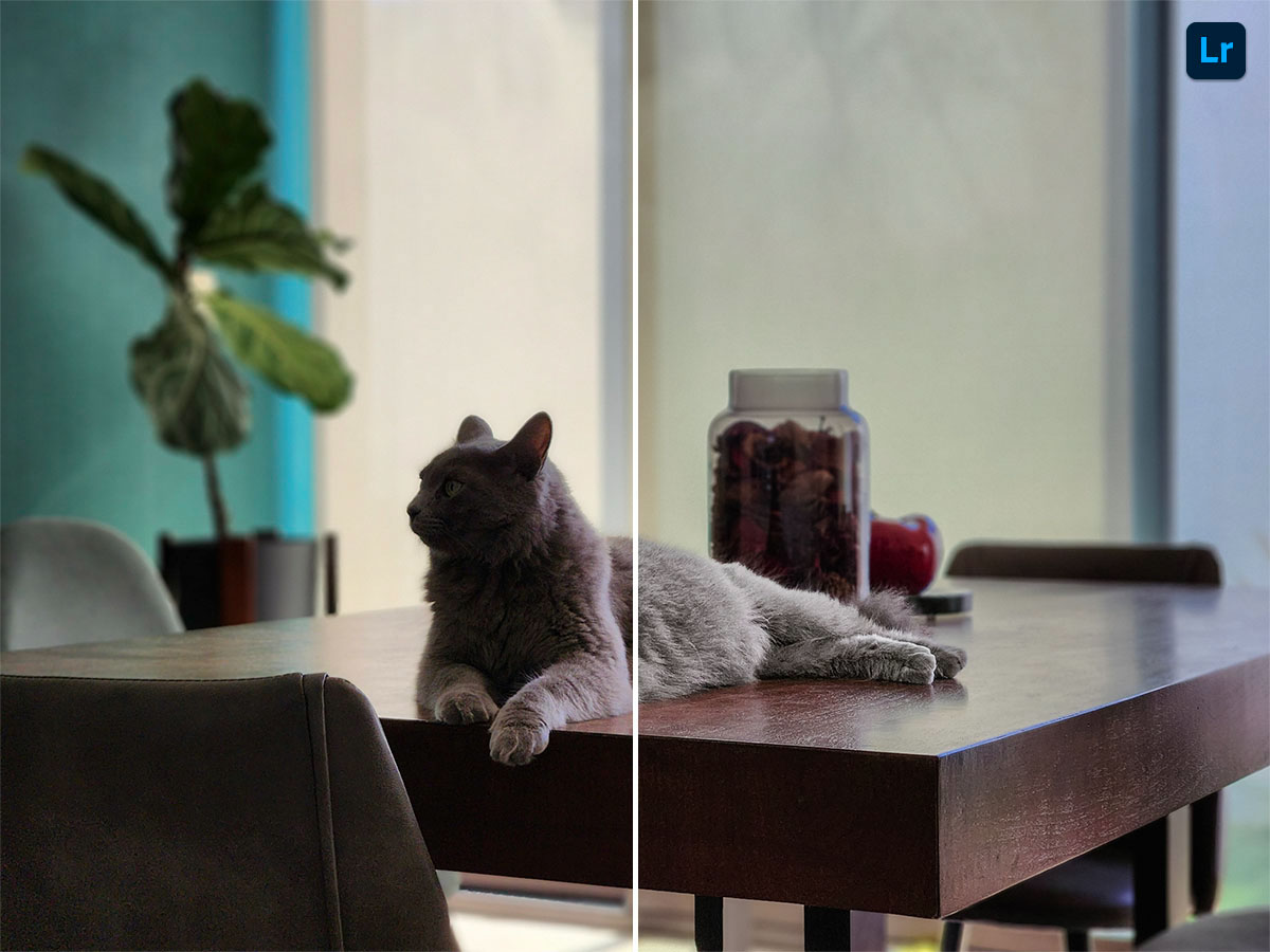 Ash | Edit | Photoshop Lightroom