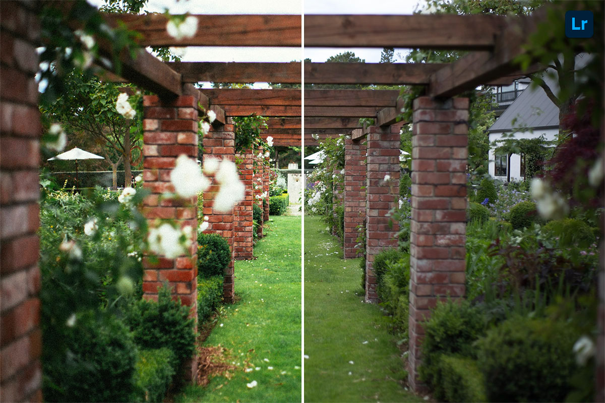 Warm | Edit | Photoshop Lightroom